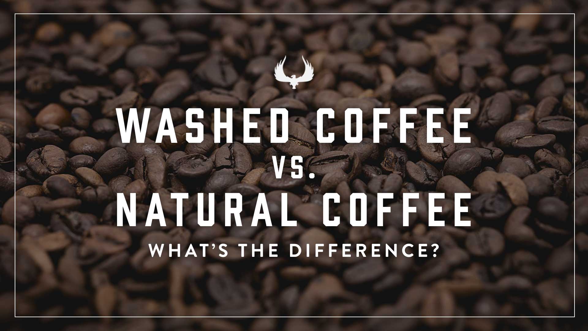 Washed vs. Natural Coffee | What's The Difference And How Do They Taste ...